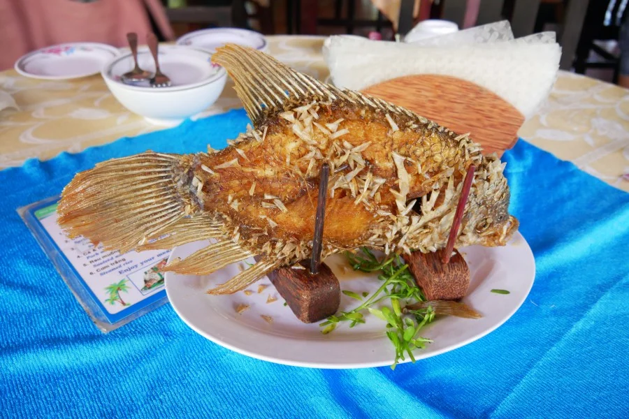 美托 & 檳椥湄公河三角洲一日遊：手搖船、椰子糖工廠與永長寺攻略 | VietGo